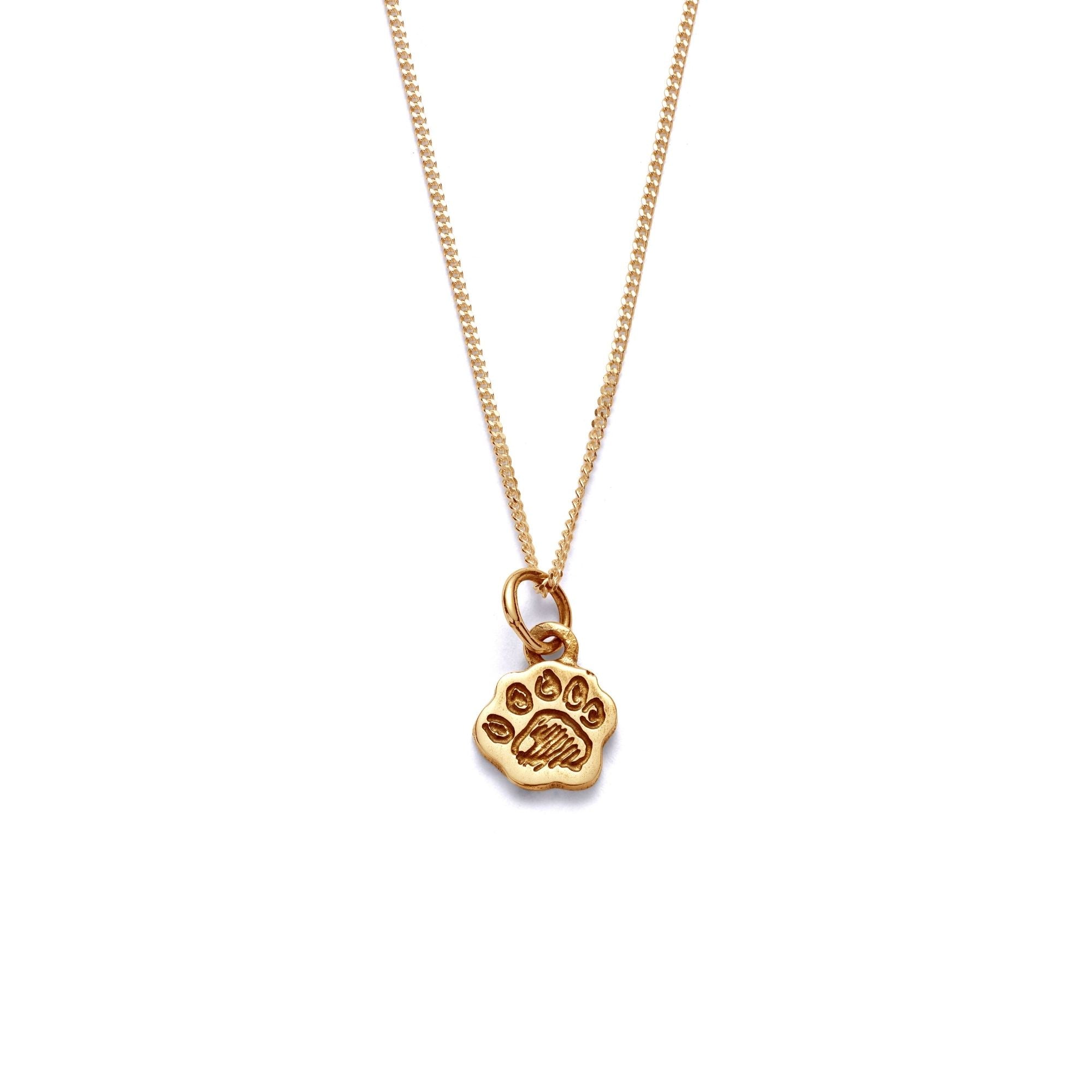 Paddington Mini Paw Gold Necklace | Jewellery Gift | Licensed To Charm ...